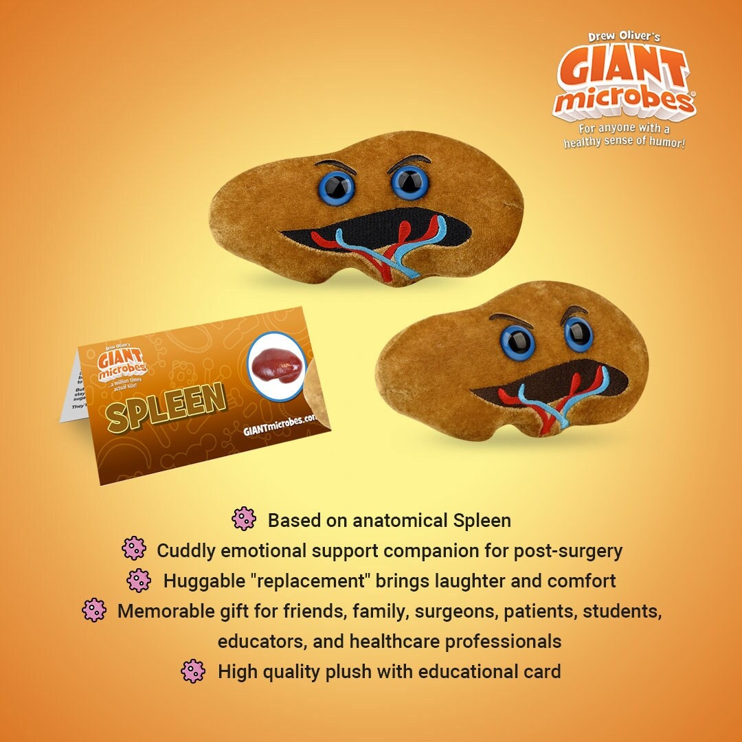 Giantmicrobes Spleen Plush, Splenectomy, Get Well Gifts, Immunologist ...