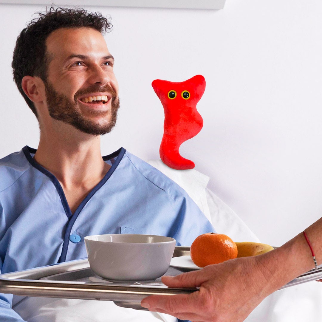 Giantmicrobes Appendix Plush, Appendix Stuffed Animal, Organ Toy, Funny ...