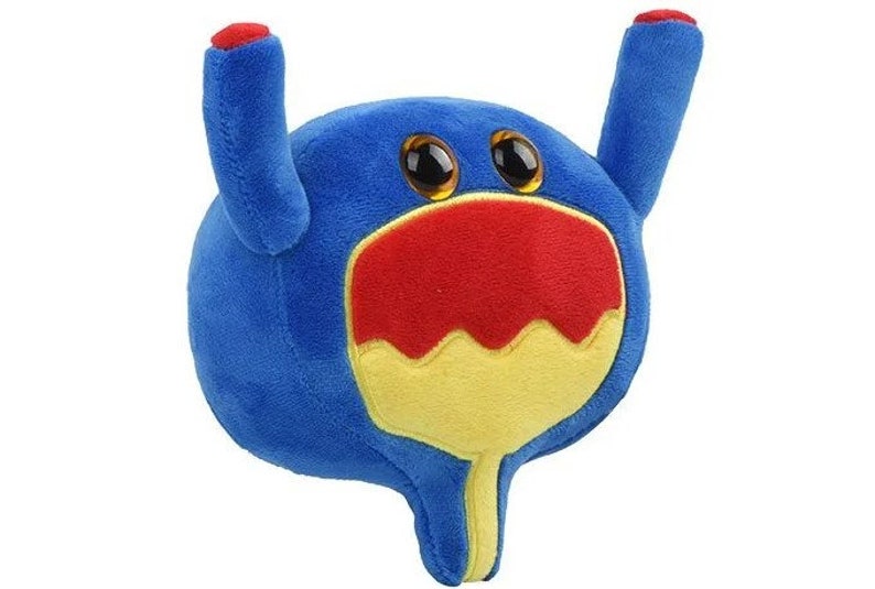 Giantmicrobes Bladder Plush Anatomical Organ Plush, Get Well Gift ...