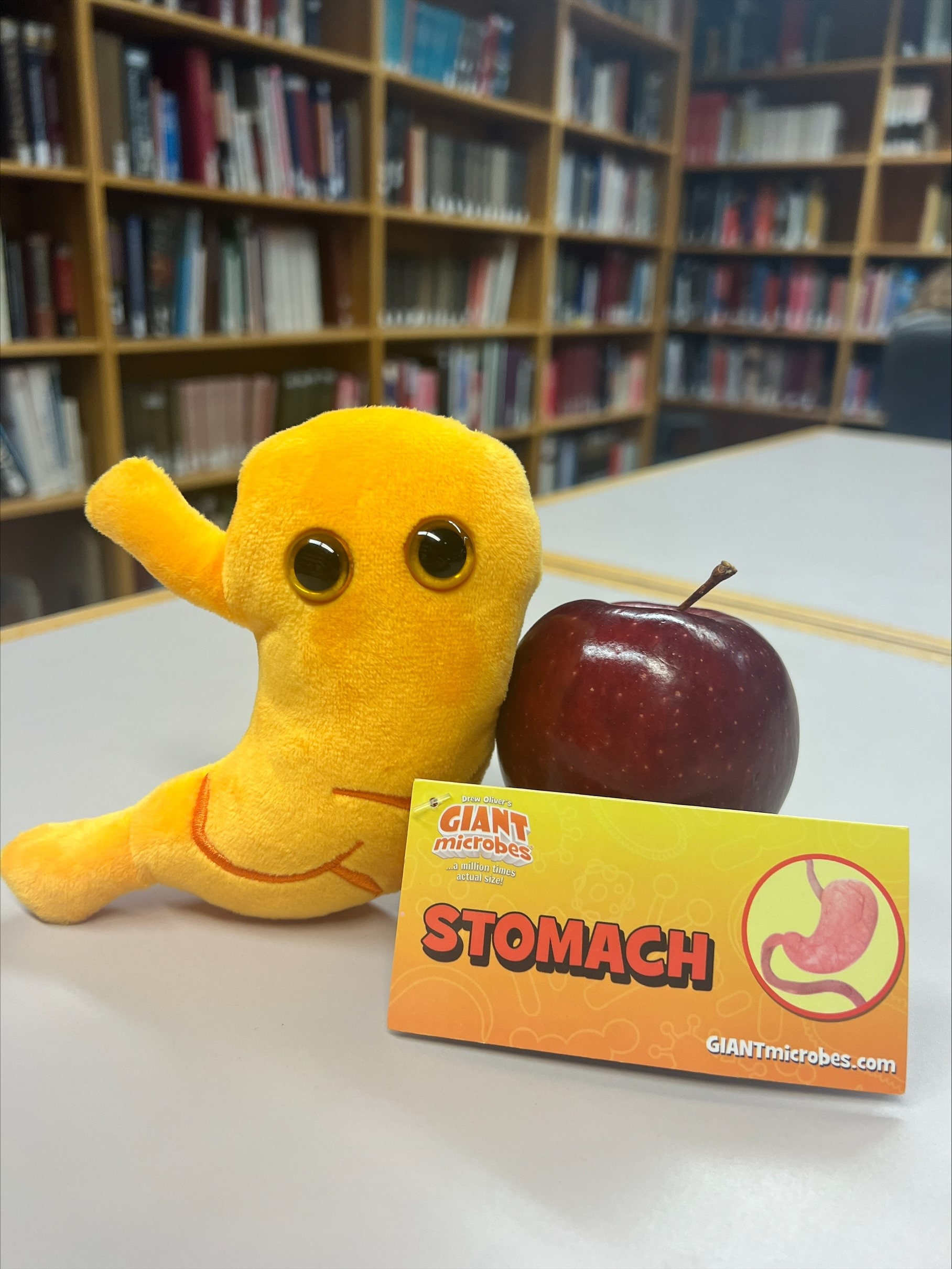 Giantmicrobes Stomach Plush, Get Well Gifts, Bariatric Surgery ...