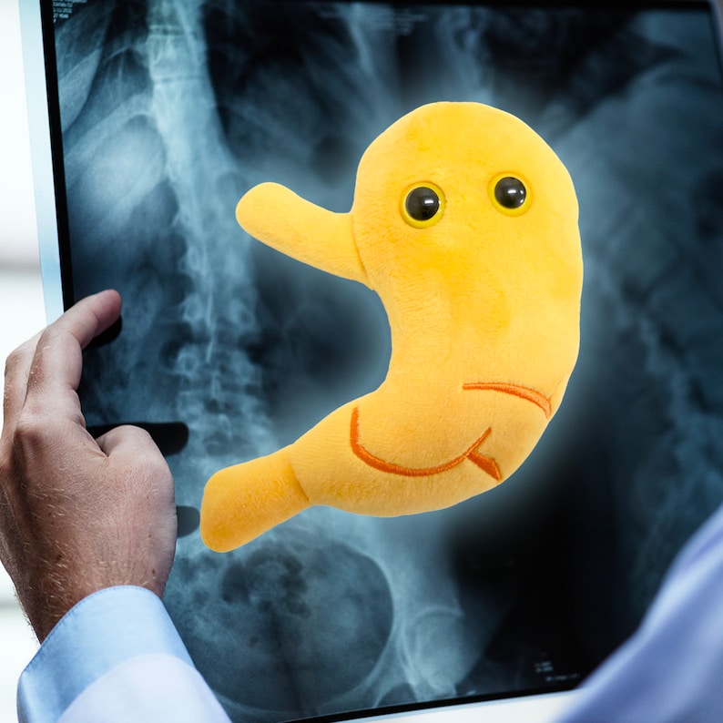 Giantmicrobes Stomach Plush, Get Well Gifts, Bariatric Surgery ...