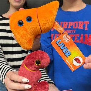 Giantmicrobes Liver Plush, GI Nurse Gift, Get Well Gifts ...