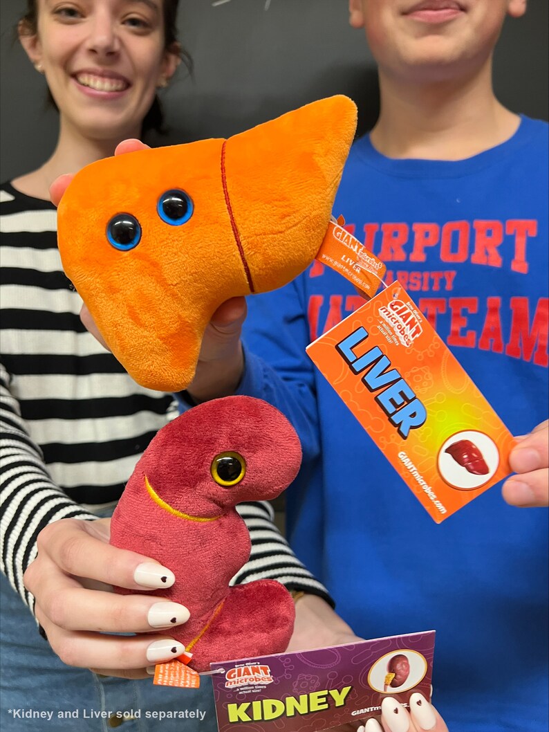 Giantmicrobes Liver Plush, GI Nurse Gift, Get Well Gifts ...