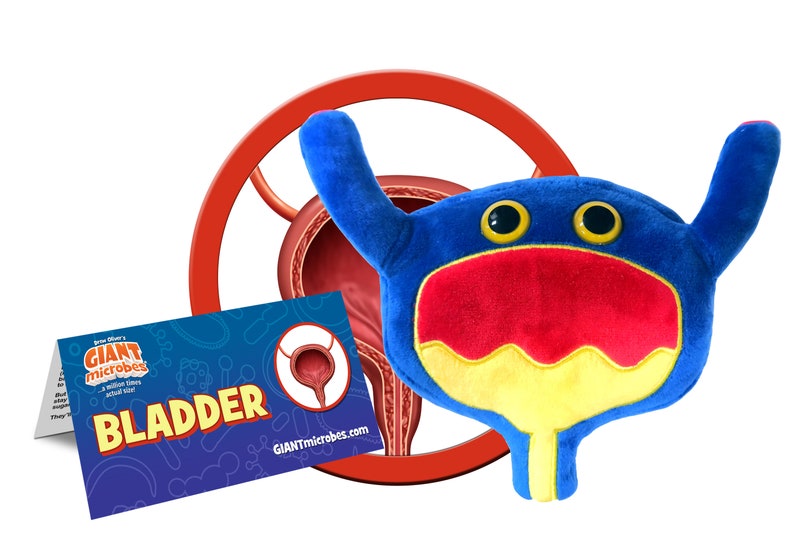 Giantmicrobes Bladder Plush Anatomical Organ Plush, Get Well Gift ...
