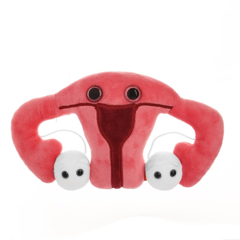 Giantmicrobes Uterus Plush, Uterus Gifts, Hysterectomy Gifts, Obgyn ...