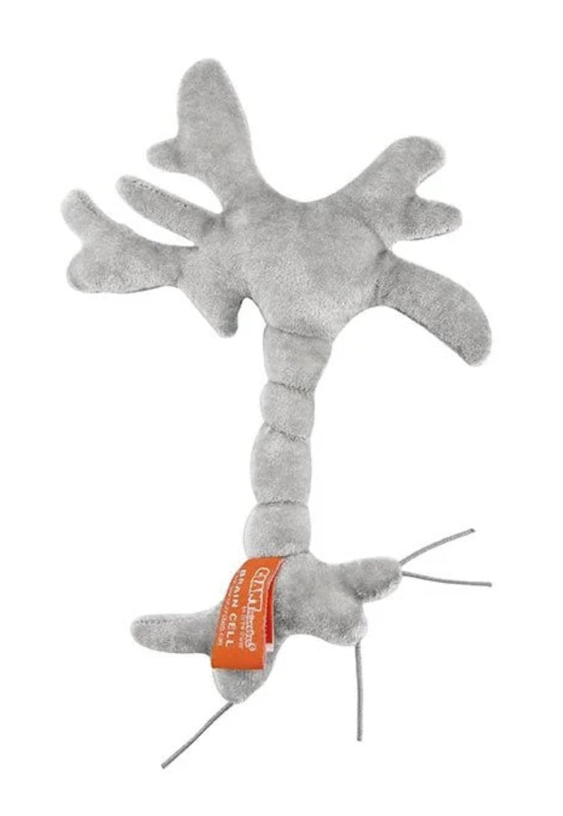 Giantmicrobes Brain Cell Plush, Neuron Plush, Neuroscience Gifts ...