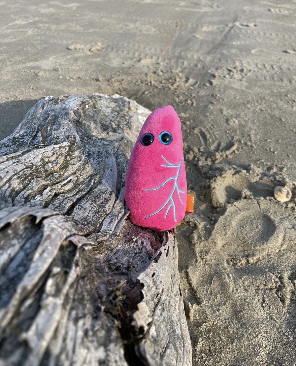 Giantmicrobes Lung Plush, Lung Stuffed Animal, Lung Cancer Gift ...