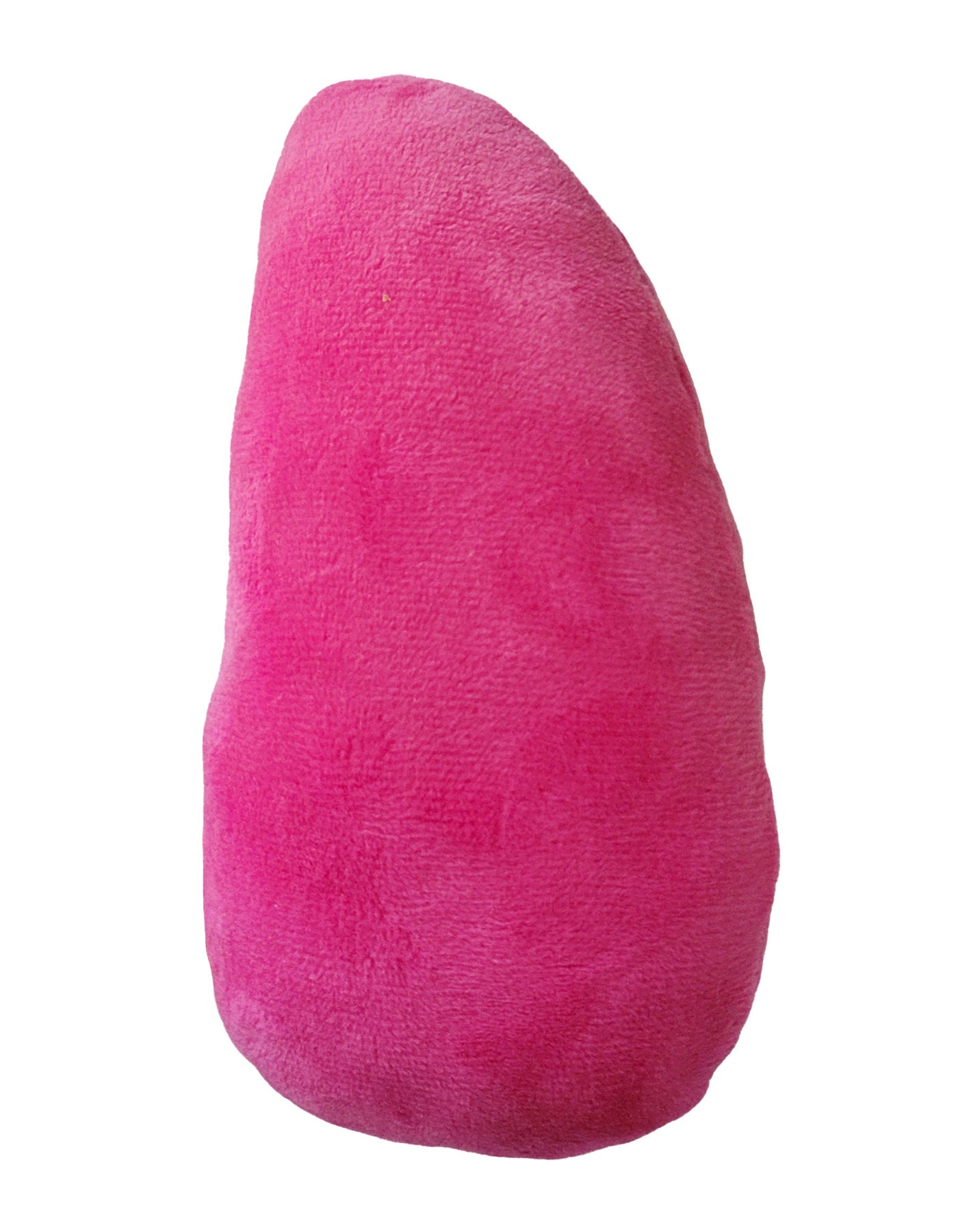 Giantmicrobes Lung Plush, Lung Stuffed Animal, Lung Cancer Gift ...