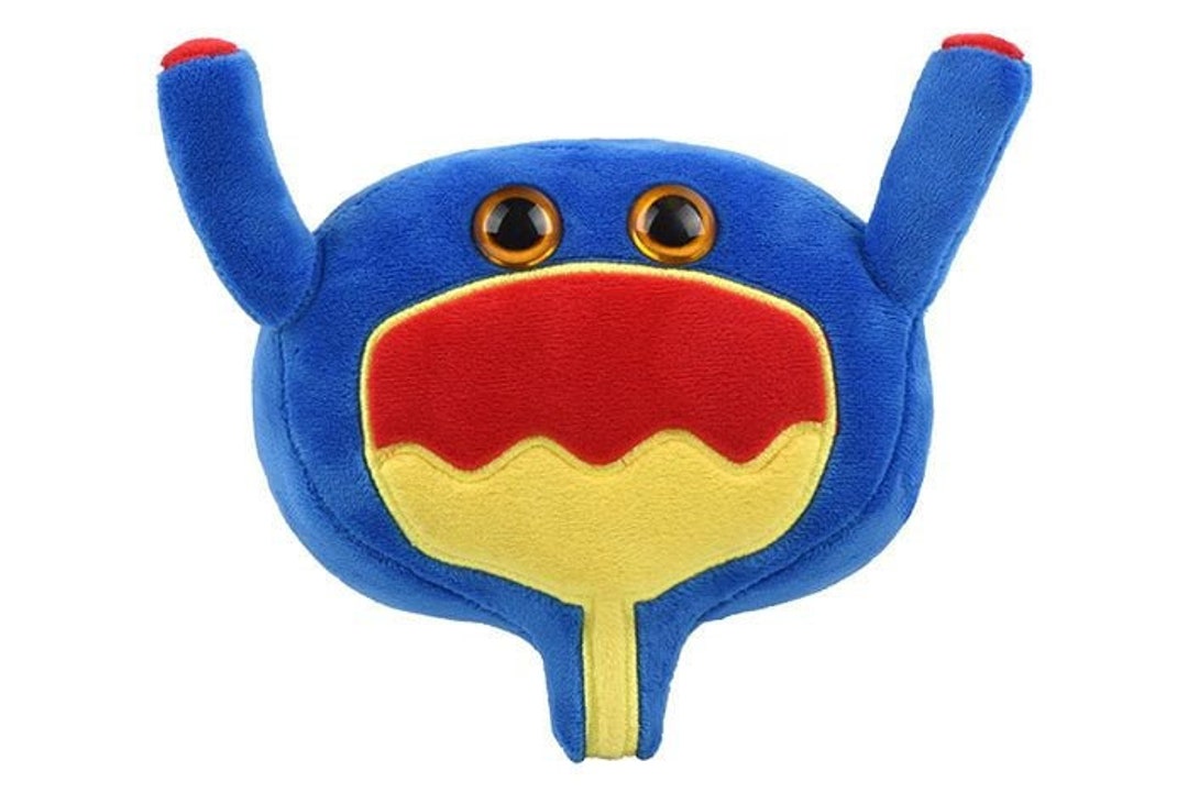 Giantmicrobes Bladder Plush Anatomical Organ Plush, Get Well Gift ...