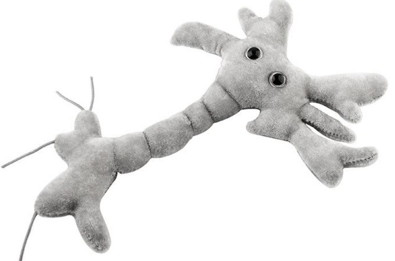 Giantmicrobes Brain Cell Plush, Neuron Plush, Neuroscience Gifts ...