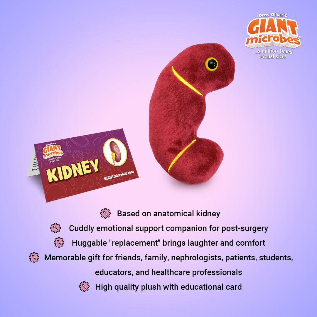 Giantmicrobes Kidney Plush, Nephrology Nurse, Get Well Gifts, Kidney ...
