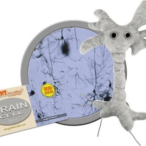 Giantmicrobes Brain Cell Plush, Neuron Plush, Neuroscience Gifts ...