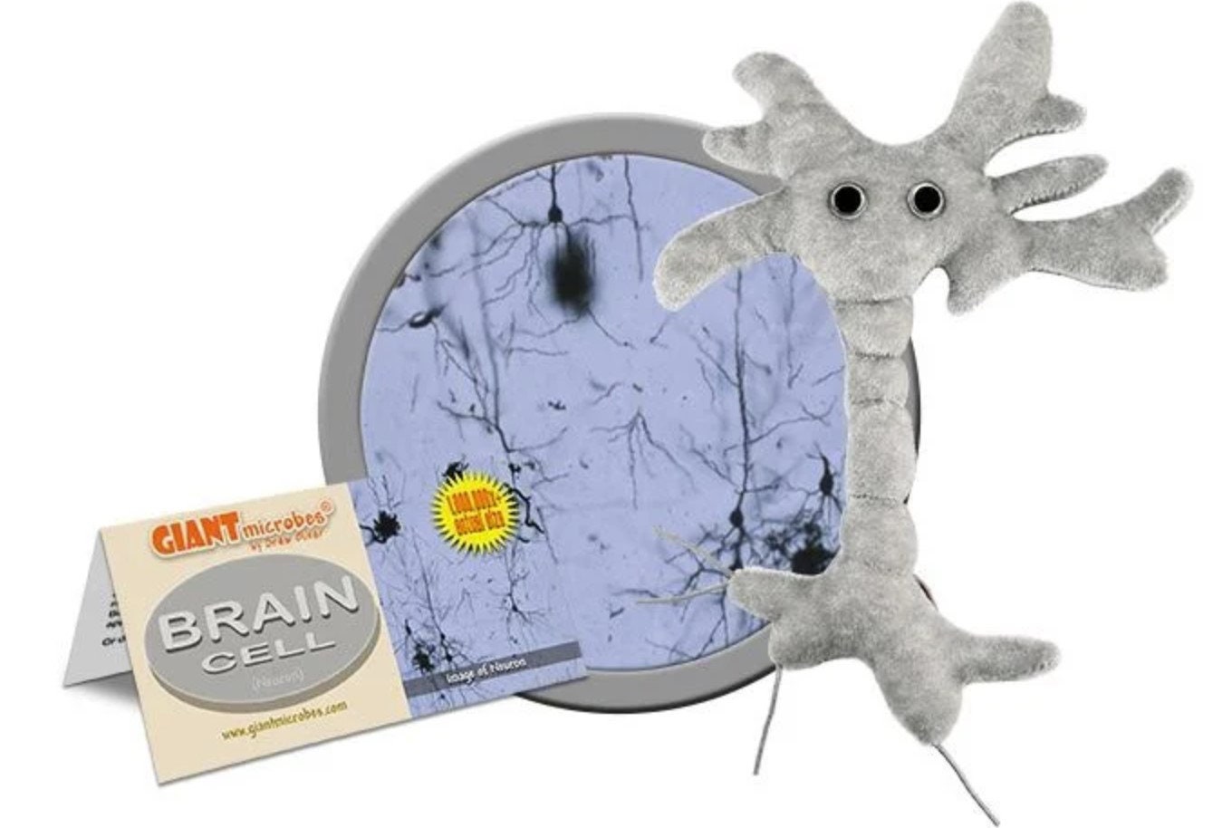 Giantmicrobes Brain Cell Plush, Neuron Plush, Neuroscience Gifts ...