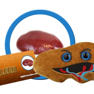 Giantmicrobes Spleen Plush, Splenectomy, Get Well Gifts, Immunologist ...