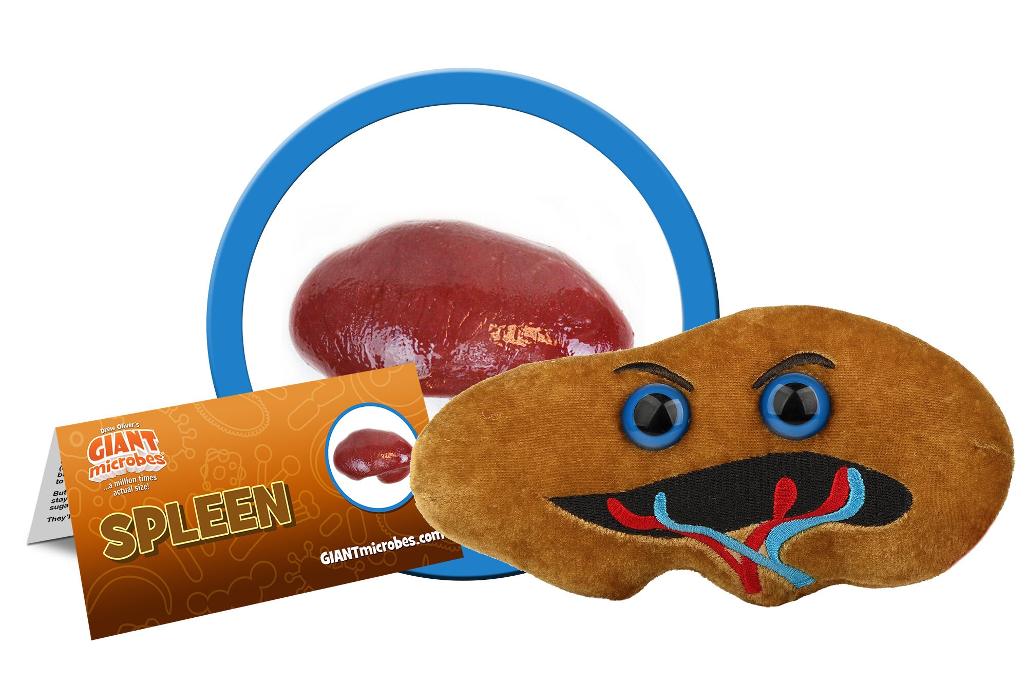 Giantmicrobes Spleen Plush, Splenectomy, Get Well Gifts, Immunologist ...