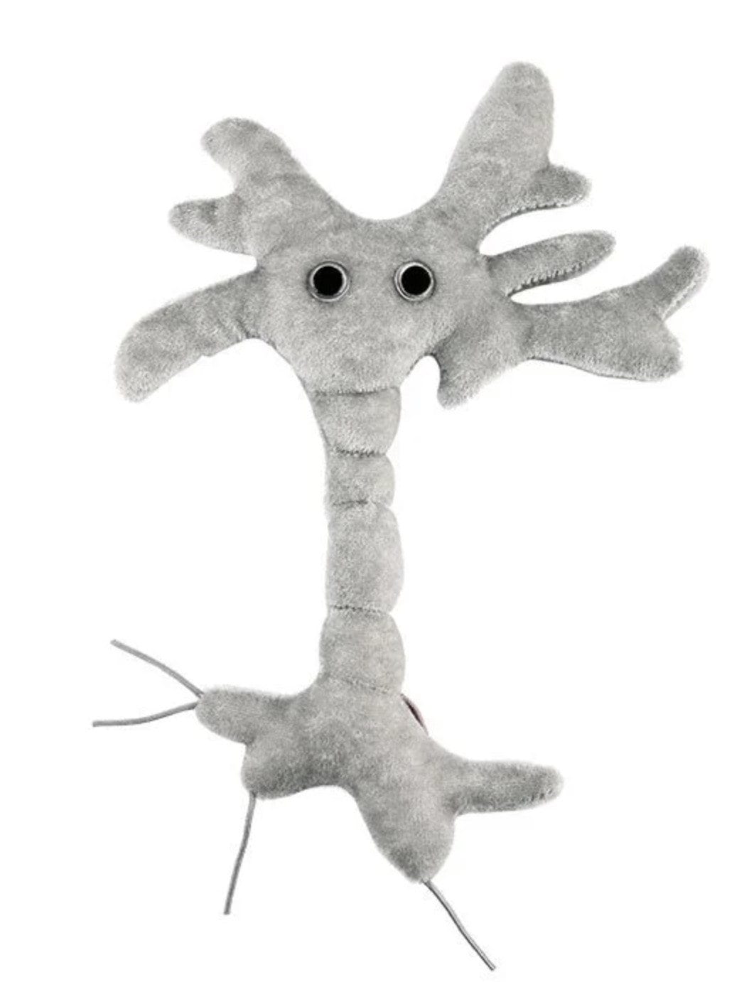 Giantmicrobes Brain Cell Plush, Neuron Plush, Neuroscience Gifts ...
