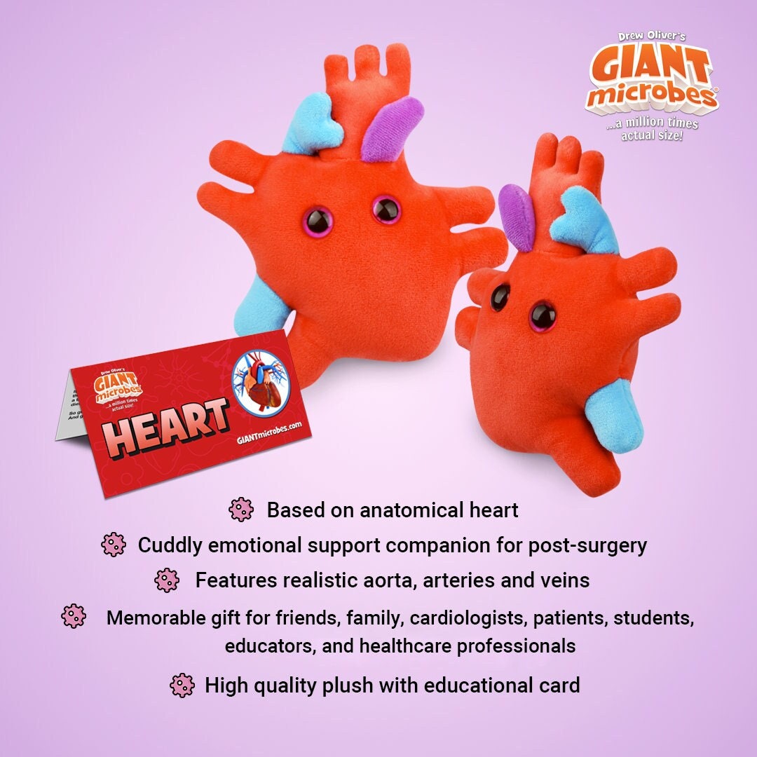 Giantmicrobes Heart Plush, Heart Stuffed Animal, Heart Transplant Gifts ...