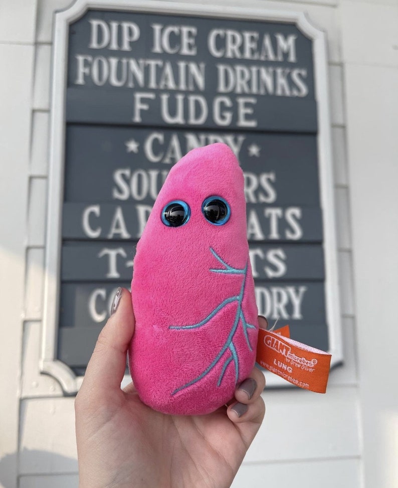 Giantmicrobes Lung Plush, Lung Stuffed Animal, Lung Cancer Gift ...