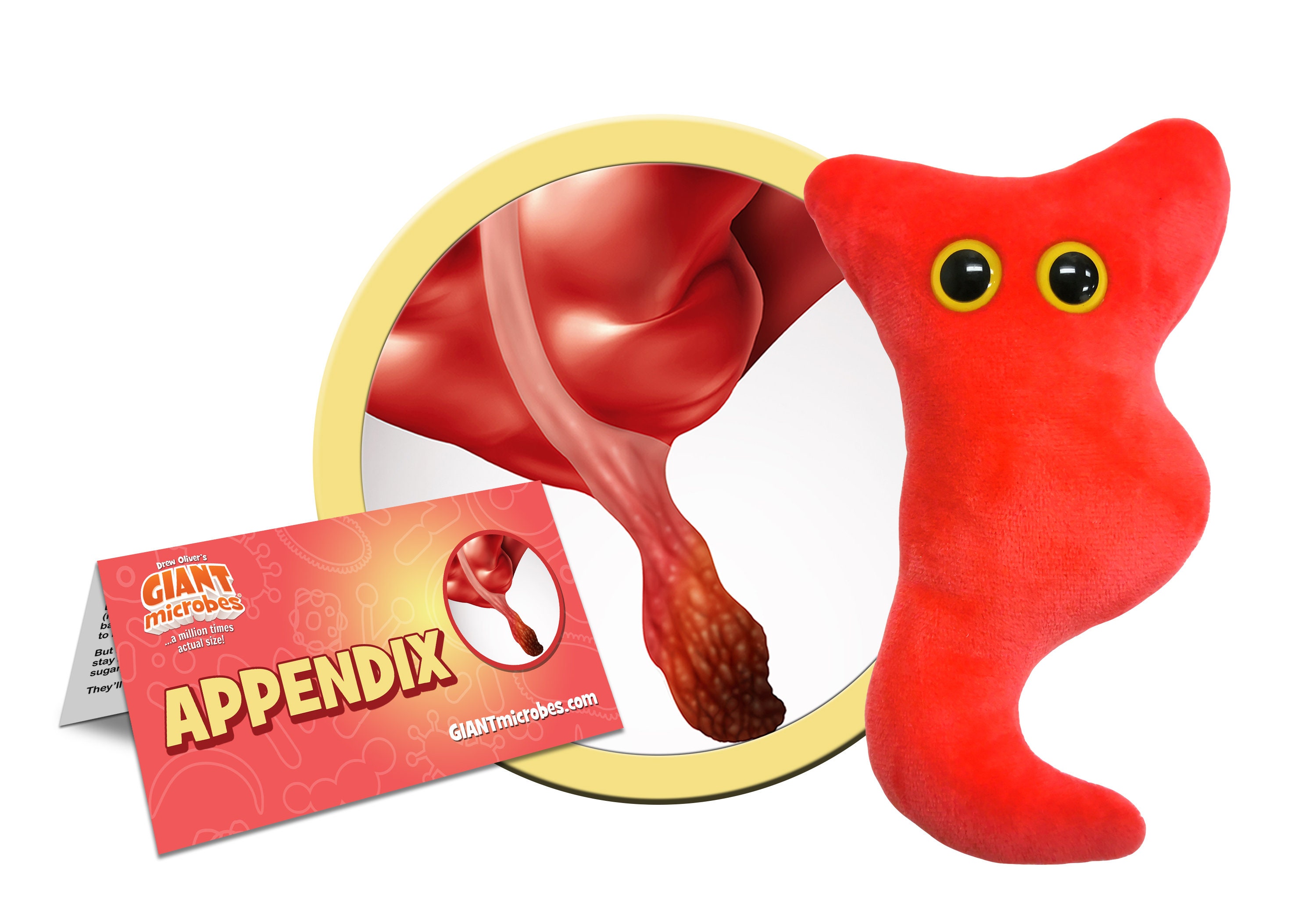Giantmicrobes Appendix Plush, Appendix Stuffed Animal, Organ Toy, Funny ...