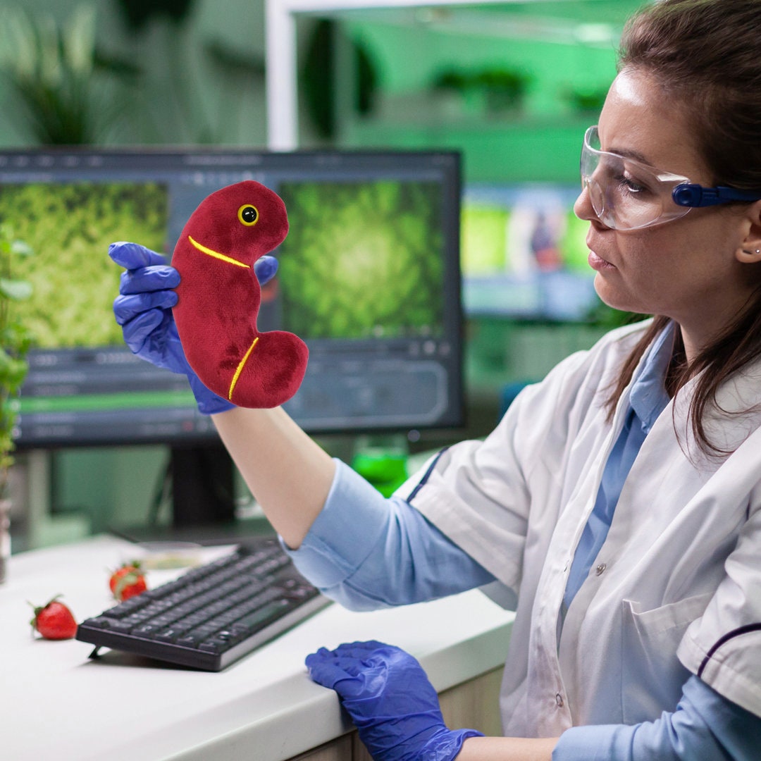 Giantmicrobes Kidney Plush, Nephrology Nurse, Get Well Gifts, Kidney ...