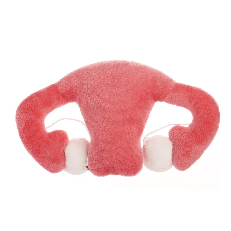 Giantmicrobes Uterus Plush, Uterus Gifts, Hysterectomy Gifts, Obgyn ...