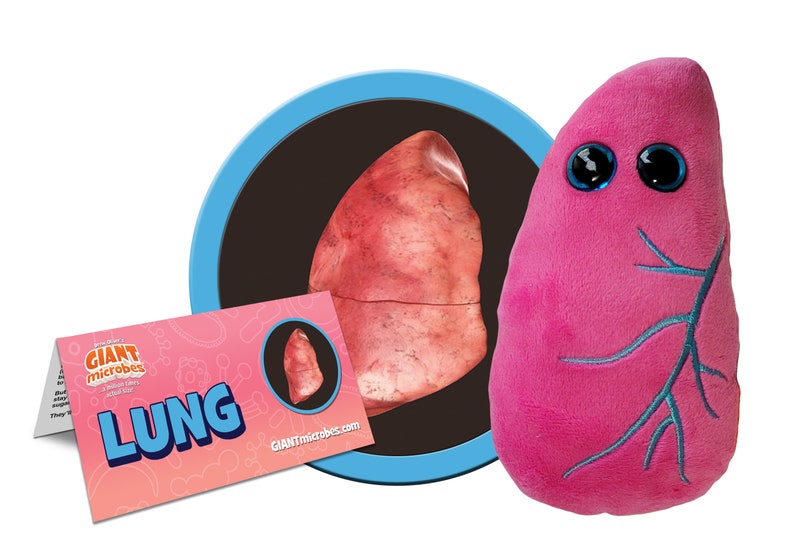 Giantmicrobes Lung Plush, Lung Stuffed Animal, Lung Cancer Gift ...