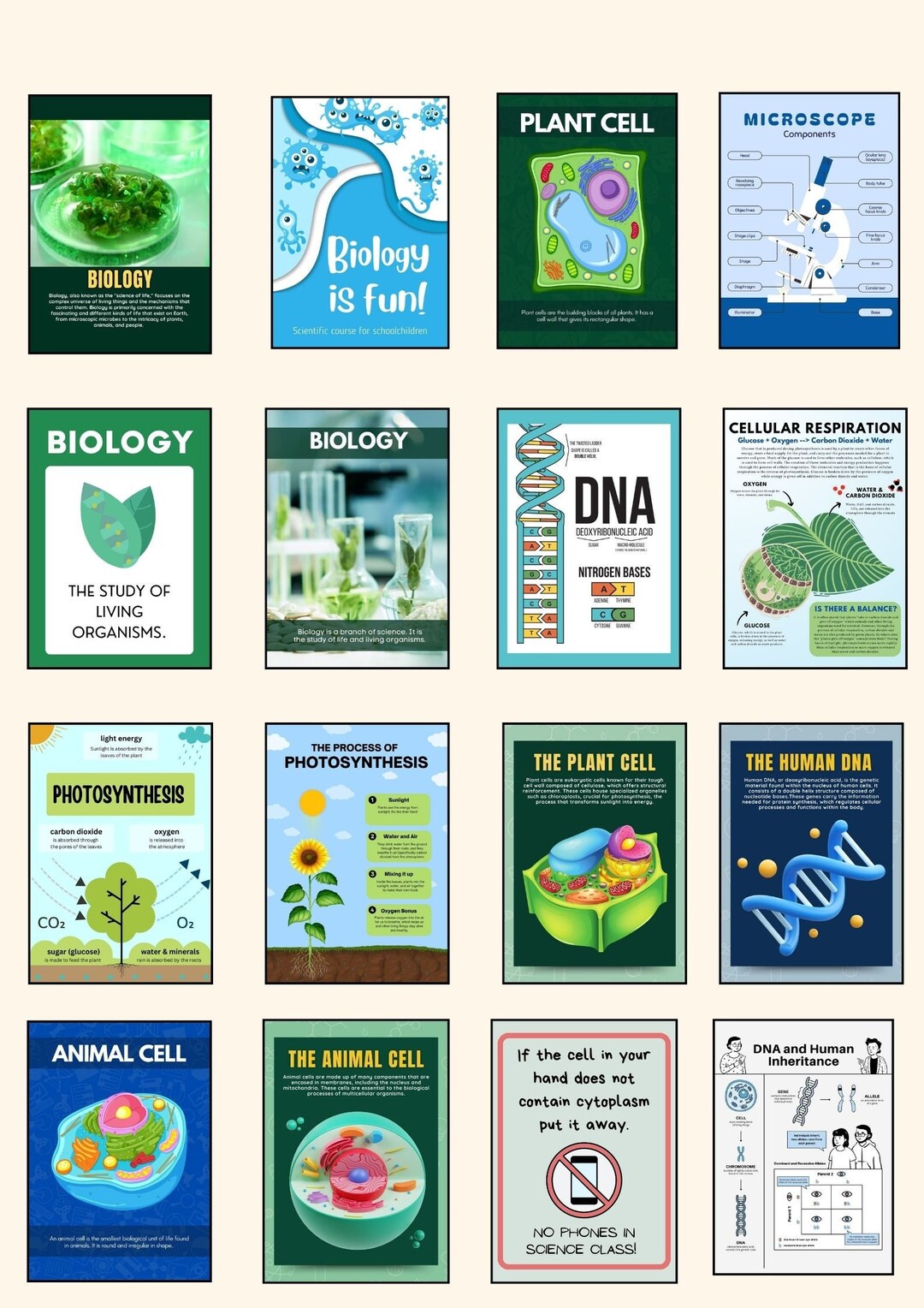 Biology Posters, Room Decor, Educational, Homeschool, Pre-school ...