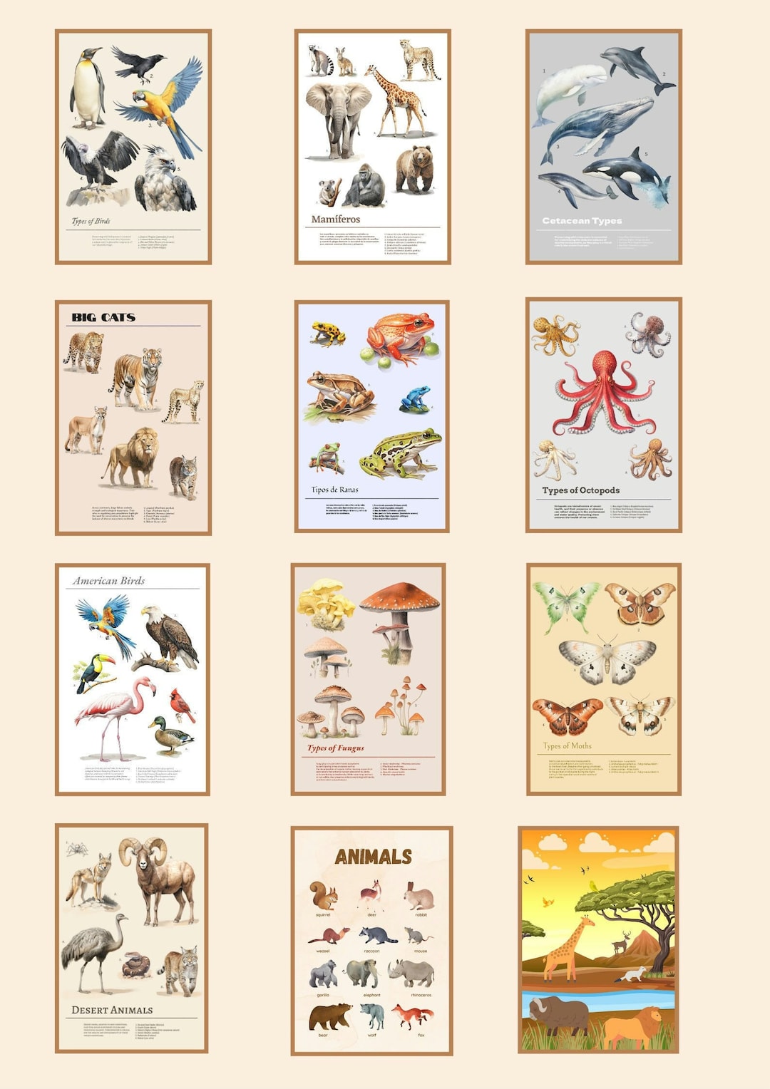 10+ Pcs Gallery Set, Trendy Classroom Prints, Animals Decor, Retro ...