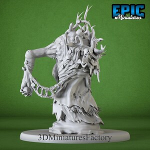Miniature | Annis Hag - Dnd Miniature for Tabletop Games - Premium Dnd ...