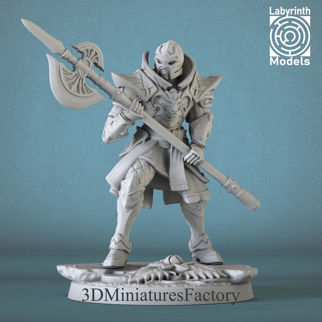 Miniature | Myrmidon 2 - Dnd Miniature for Tabletop Games - Premium Dnd ...