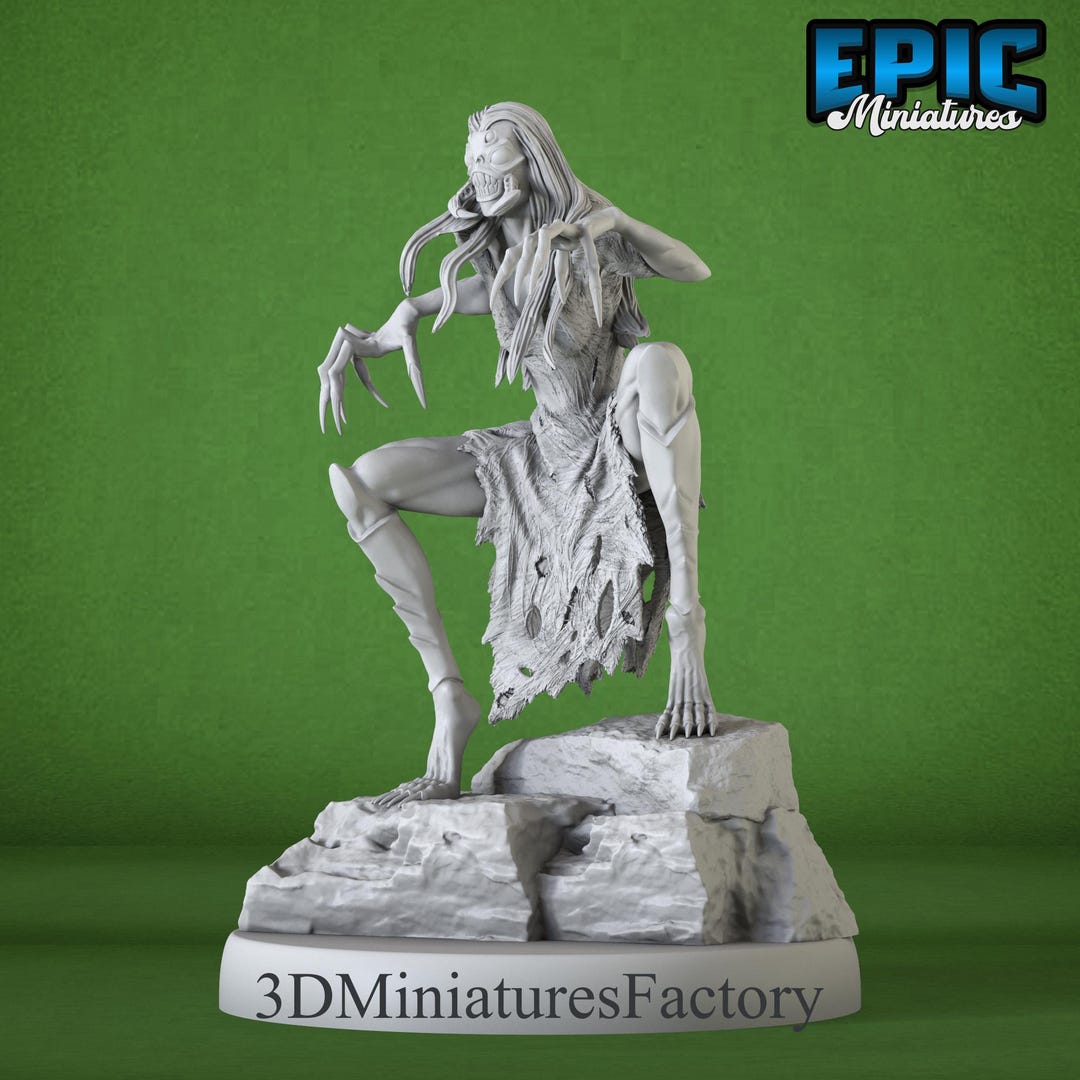 Miniature | Spider Hag - Dnd Miniature for Tabletop Games - Premium Dnd ...