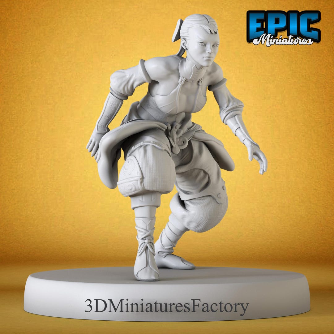Miniature | Monk Adventurer Female Hide - Player Dnd Miniature for ...