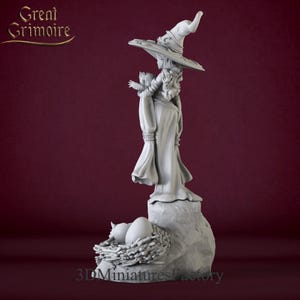 Dnd Miniature | Meredith Witch - 3D Printed Dungeons and Dragons ...