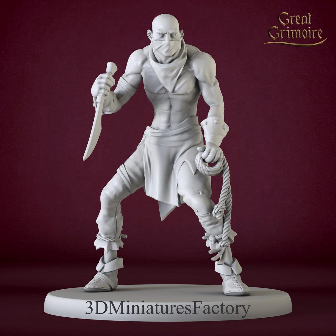 Ethelred the Robber Dnd Miniature | Bandit With Knife and Rope | 3D ...