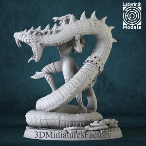 Miniature | Medusa - Dnd Miniature for Tabletop Games - Premium Dnd ...