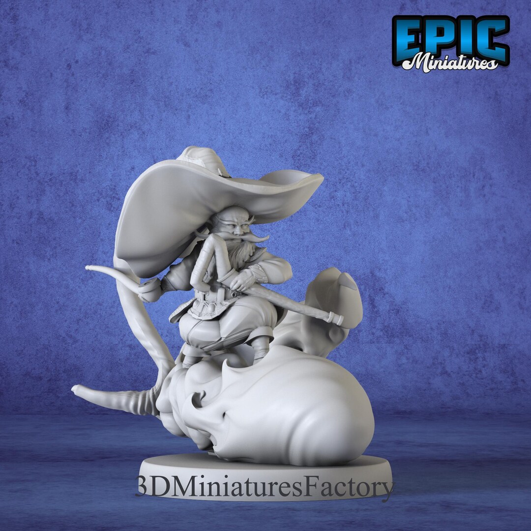 Miniature | Gnome Wizard Chase - Dnd Miniature for Tabletop Games ...