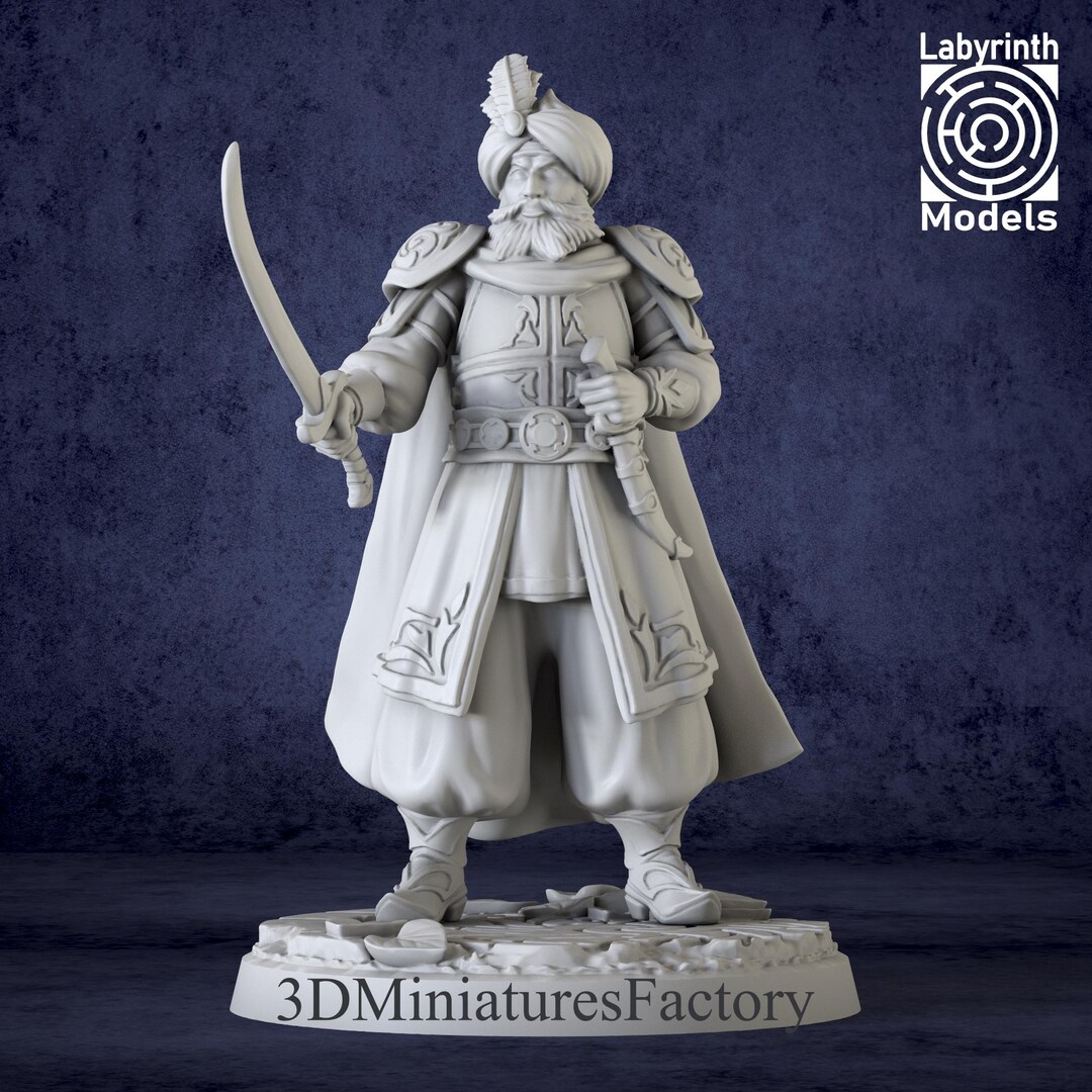 Captain of the City Guard Miniature From 28mm to 75mm - Dnd Miniature ...