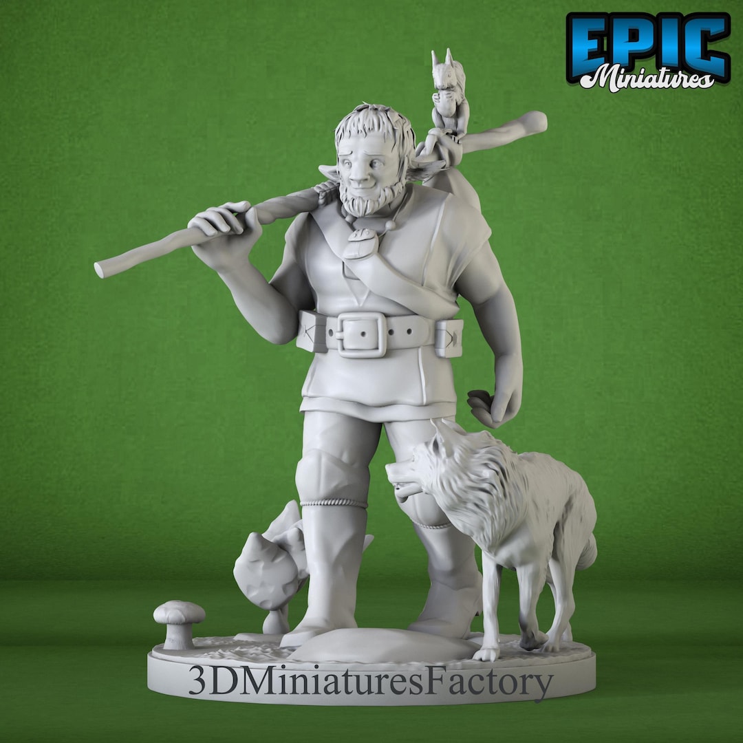 Miniature | Firbolg Druid Wolf - Dnd Miniature for Tabletop Games ...