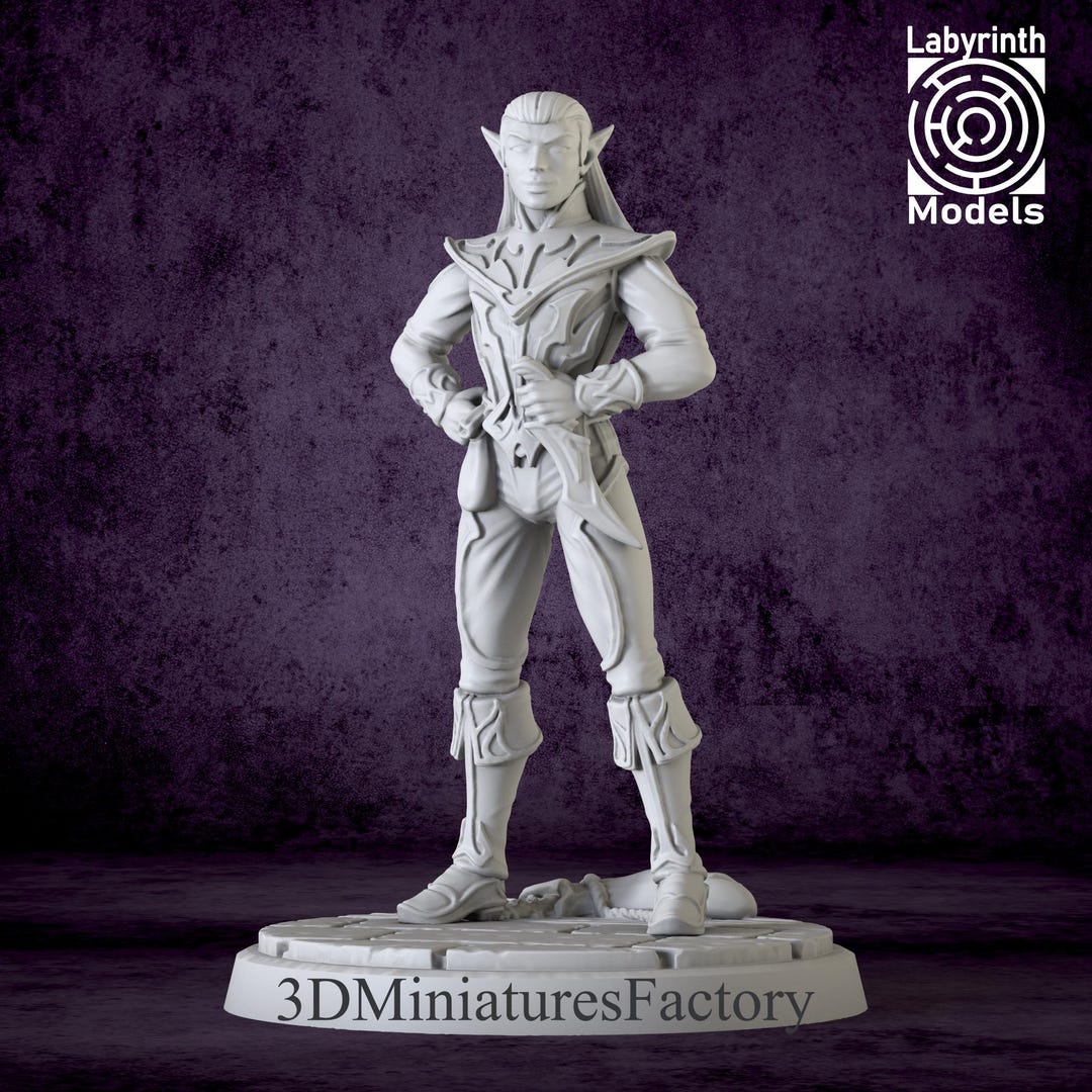 Dark Elf Citizen – Resin Figure for Dnd and Tabletop Rpgs - Etsy