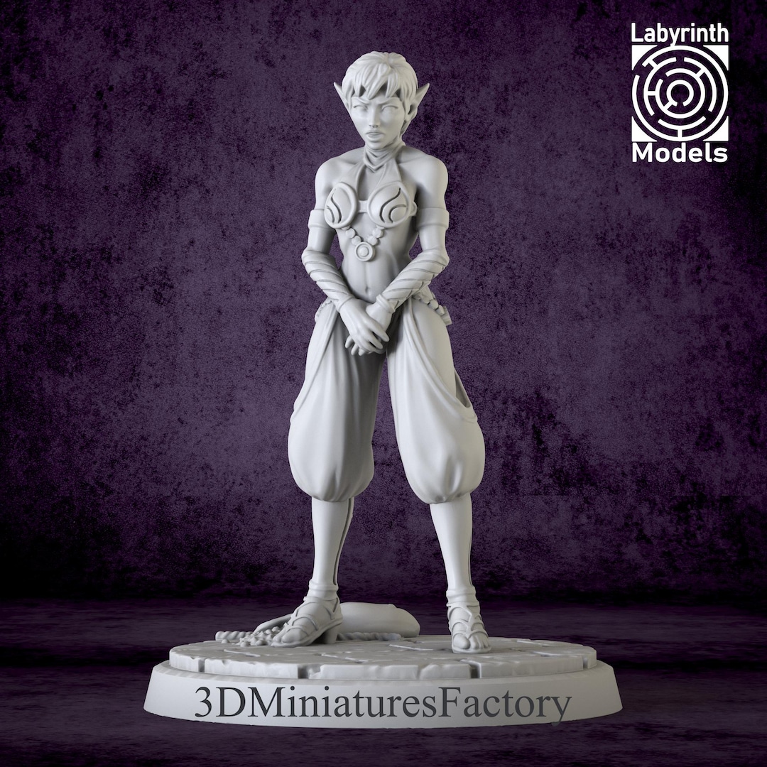 Miniature | Dark Elf Servant - Dnd Miniature for Tabletop Games ...