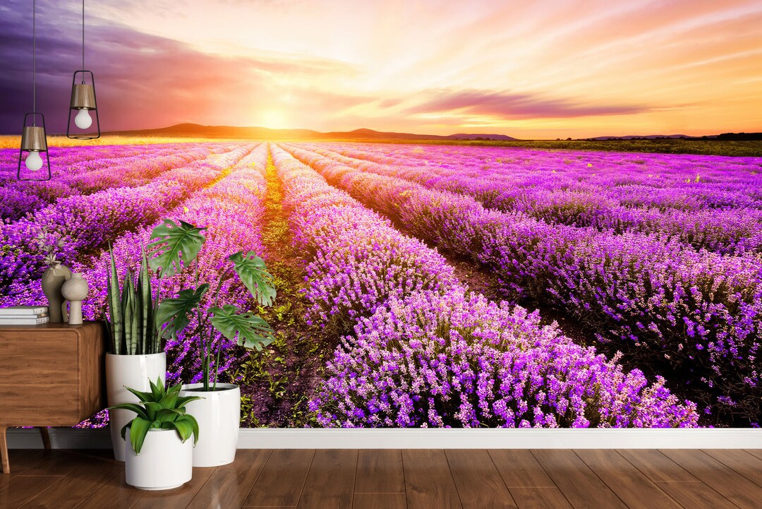 Lavender Wallpaper Mural Art – Bring Your Walls to Life With Unique ...