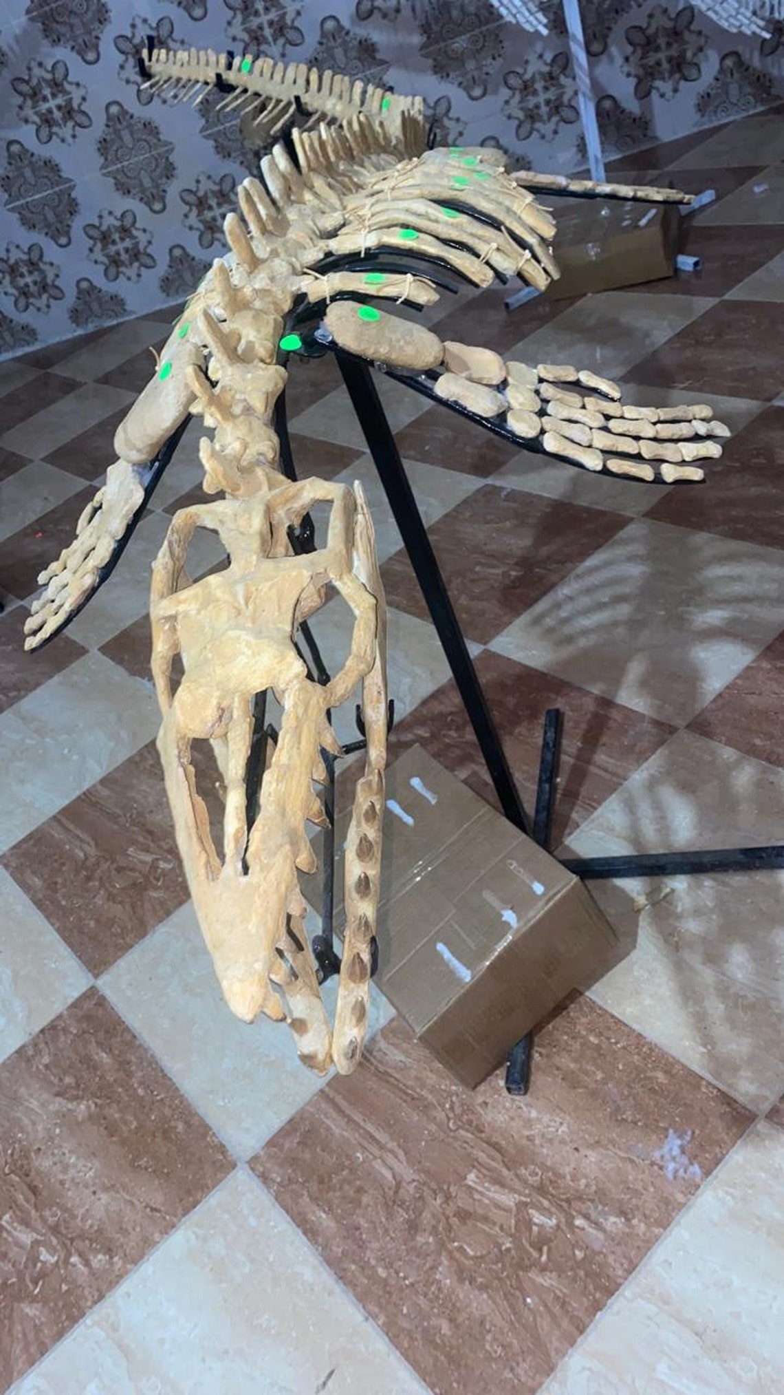 Mosasaurus Skeleton - Etsy