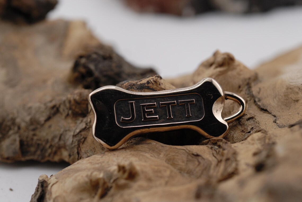 Custom Bronze Dog Bone Tag: 3D Sculpted Pet ID - Etsy