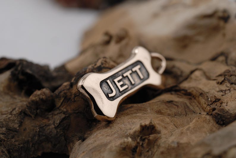 Custom Bronze Dog Bone Tag: 3D Sculpted Pet ID - Etsy