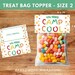 Summer Camp Treat Bag Topper: Printable S'mores & Cookie Gift Tags (PDF ...