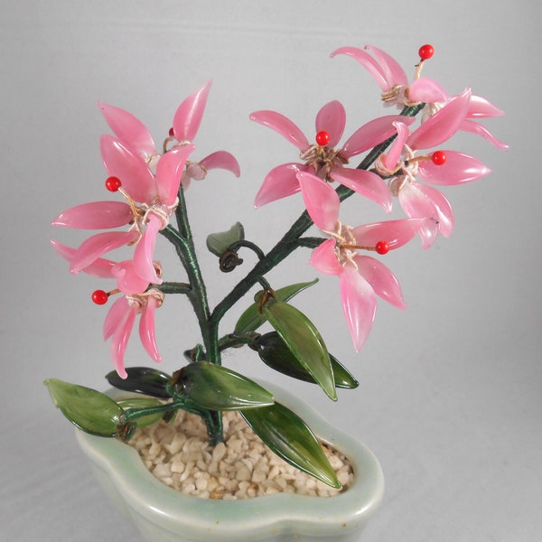 Cherry Blossom Bonsai Etsy