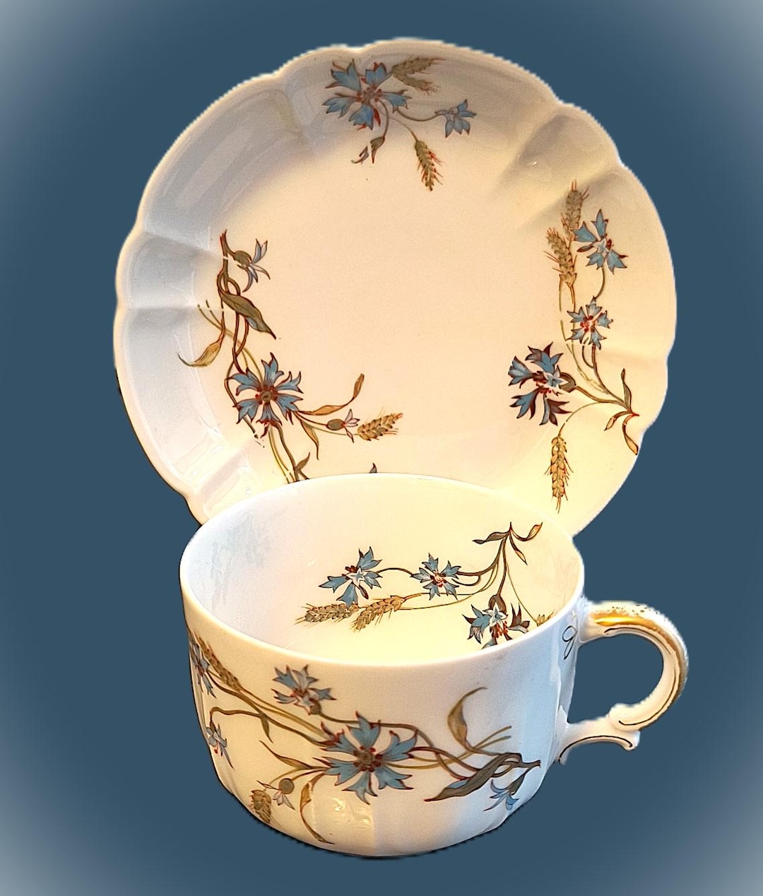 Teacup/saucer Haviland & Co.-schleiger 73 Blue Cornflowers and Wheat ...