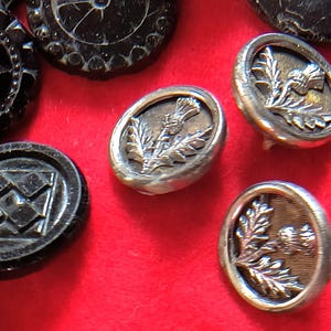 Victorian Black Buttons and More - Etsy