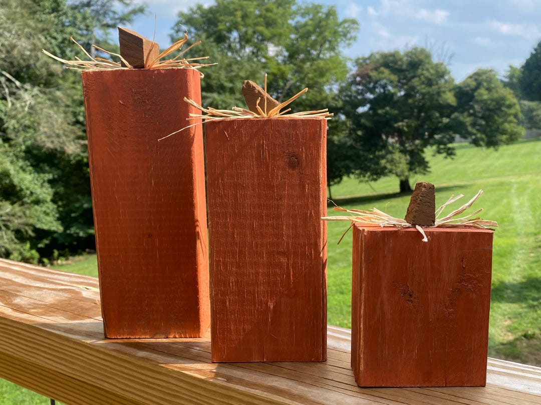 Rustic Wooden Pumpkins | Set of 3 | Farmhouse Fall Decor - Etsy