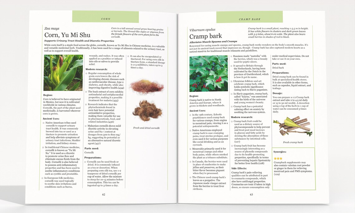 Ancient Remedies Revived by Shanon Greef - Etsy